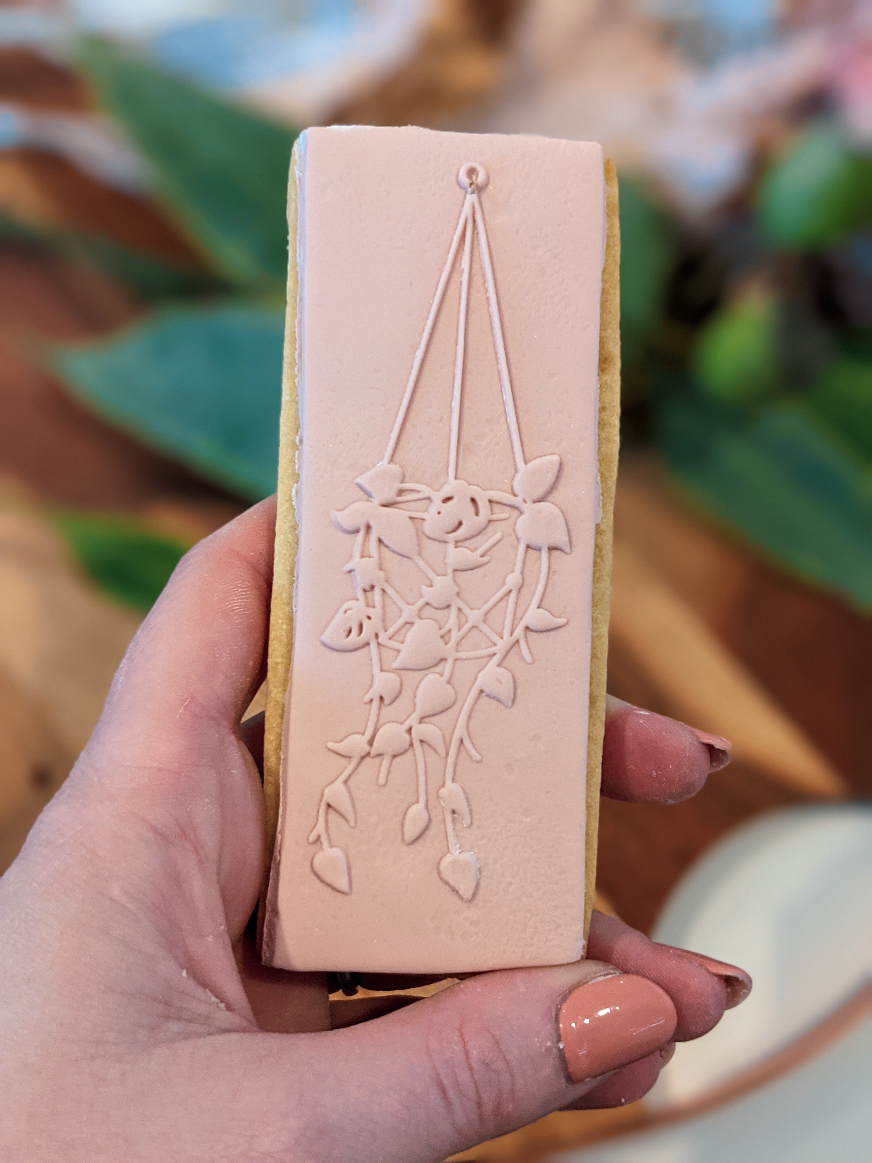 Hanging Plant – Little Luna Designs Australia